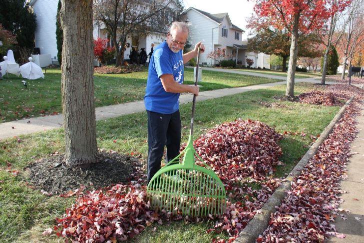 Cities begin leaf pickup programs | Medina Gazette