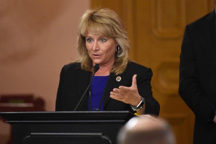 Ohio Rep. Sharon Ray pushing for state IT upgrades | Medina Gazette