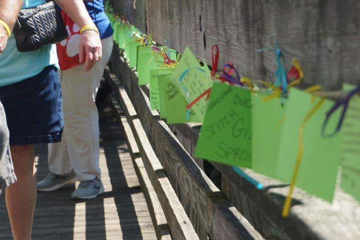 Rainbow bridge walk honors departed pets | Medina Gazette