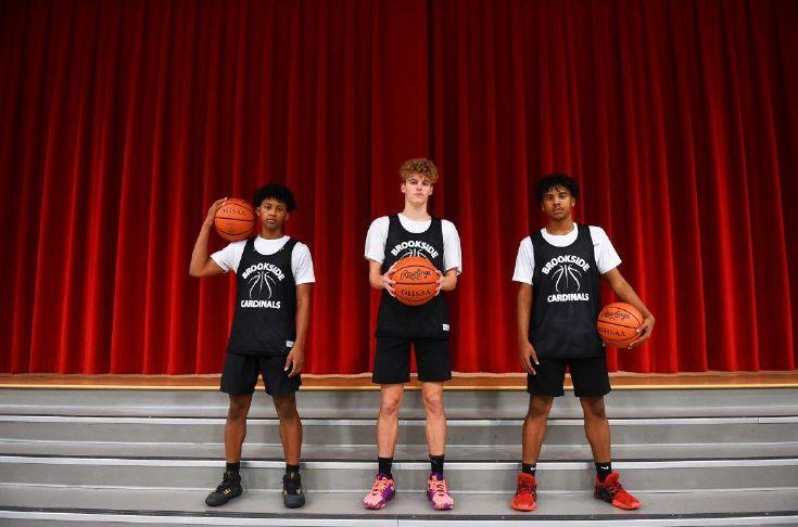 High school basketball preview: New coach, new scheme for Brookside ...