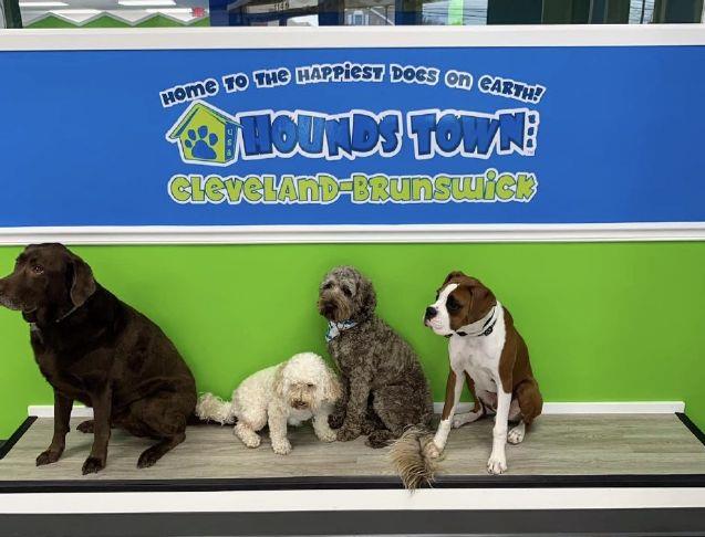 Hounds Town USA opens a location in Brunswick | Medina Gazette Hounds ...