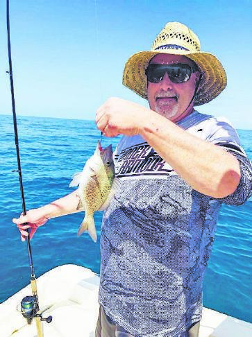 Charles Robert Bolinger | Chronicle Telegram Charles Robert Bolinger ...