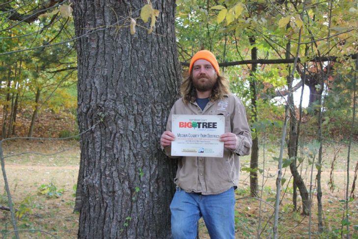 Eastern white pine tree in Hubbard Valley Park wins Big Tree Contest ...
