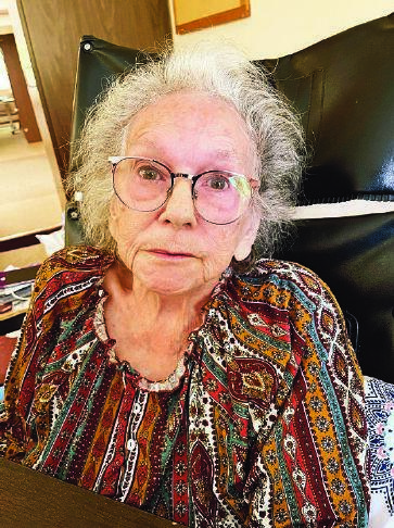 Nancy L. Dye | Chronicle Telegram