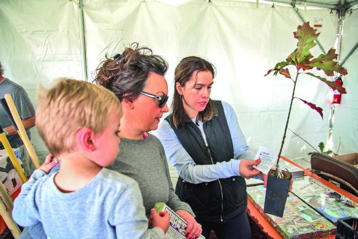First Arbor Day celebration marks major milestone for Avon Tree ...