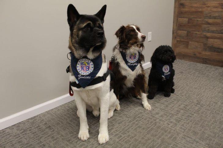 Crisis response canines console people impacted by Michigan State ...