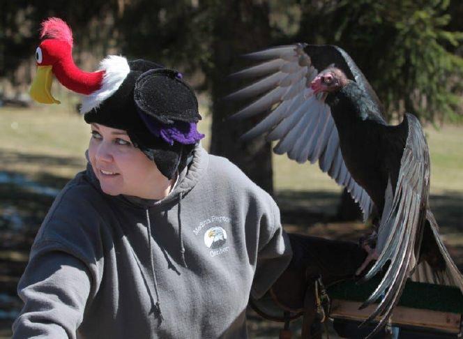 Buzzard Day celebration to be held for its 66th year | Medina Gazette