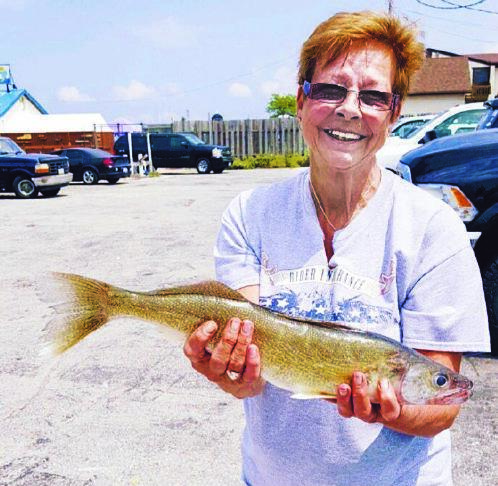 Kathleen Marie Demeter | Medina Gazette