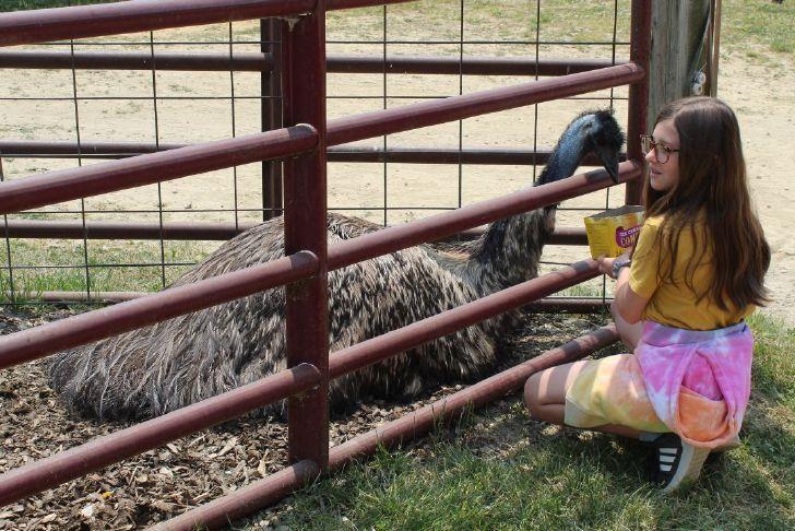 Family fun at opening day of Spring Mist Farms | Medina Gazette