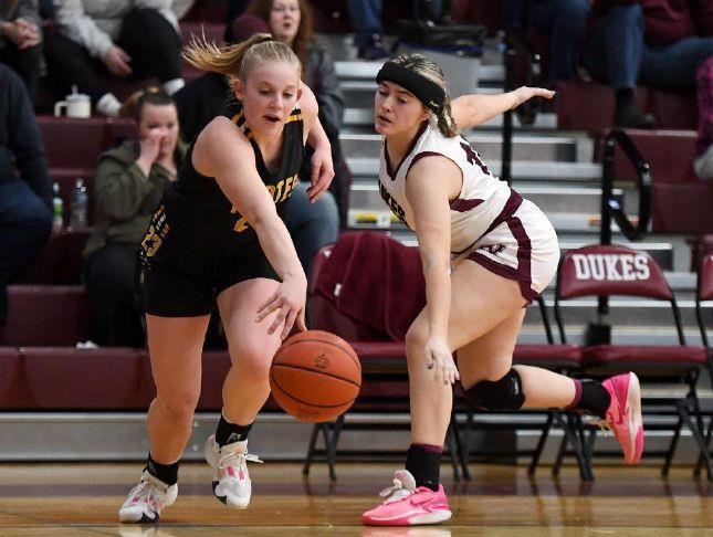Girls sectional basketball: Wellington runs over Black River to advance ...