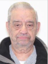 Sheriff's Office: Robert Igoe, 90, of Amherst Twp., missing since ...