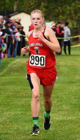High school cross country: Firelands girls and Keystone boys back on ...