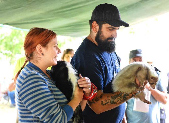 Skunk Festival invites usually furry friends, owners for a day in the ...