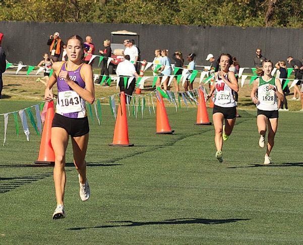 High school cross country: Three Lorain County runners earn All-Ohio at ...