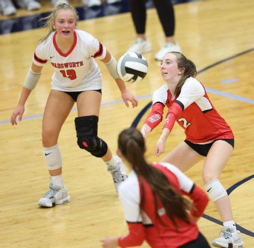 State volleyball: Wadsworth soaks in experience | Medina Gazette