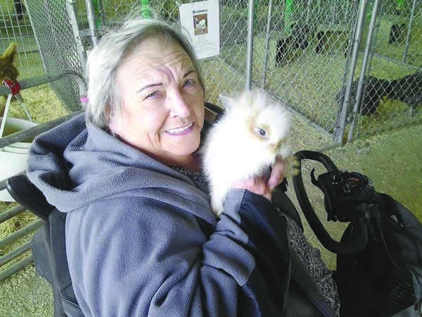 Gerri Ann Pankowski | Medina Gazette