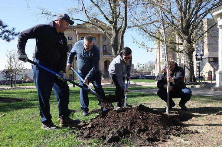 Elyria officials plant Earth Day tree | Chronicle Telegram