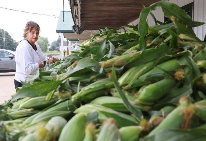 Sweet corn season starts at local farmers markets (VIDEO) | Chronicle ...