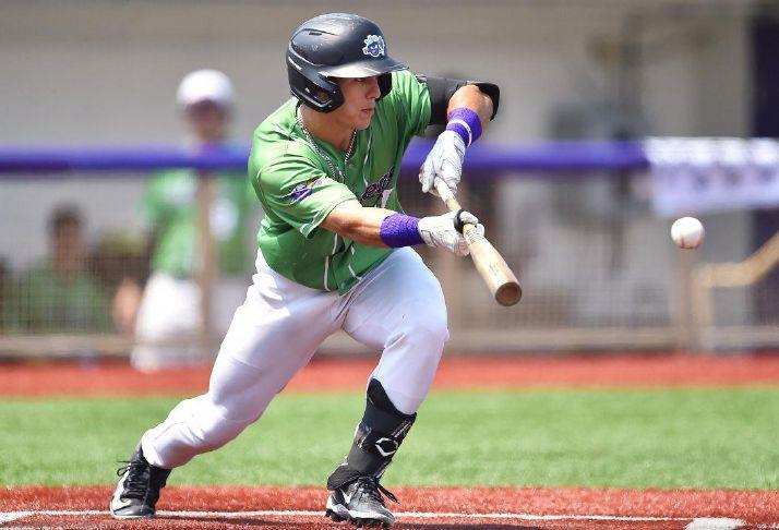 Crushers swept by Wild Things, fall into first-place tie | Chronicle ...