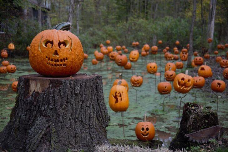 Local students help create Pumpkin Lagoon at Lorain County Metro Parks ...