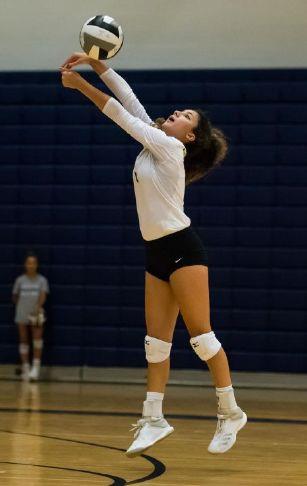 High school volleyball: Avon's Alex Laboy and Julie Bendzuck earn top ...
